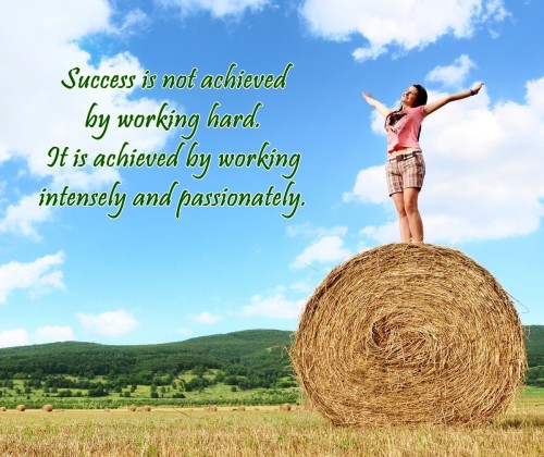 Success Through Hard Work Quotes. QuotesGram