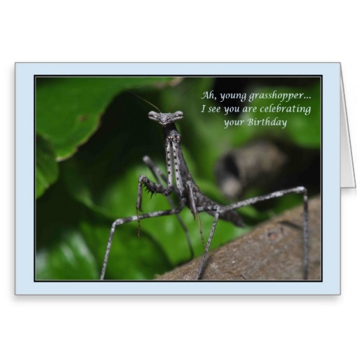 Best Kung Fu Grasshopper Quotes. QuotesGram