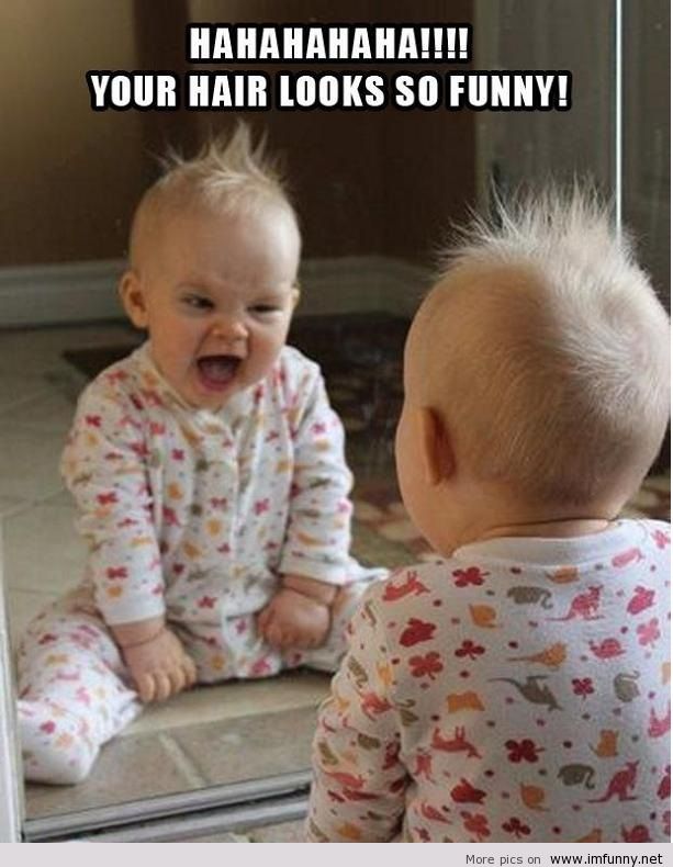 Your So Funny Quotes QuotesGram