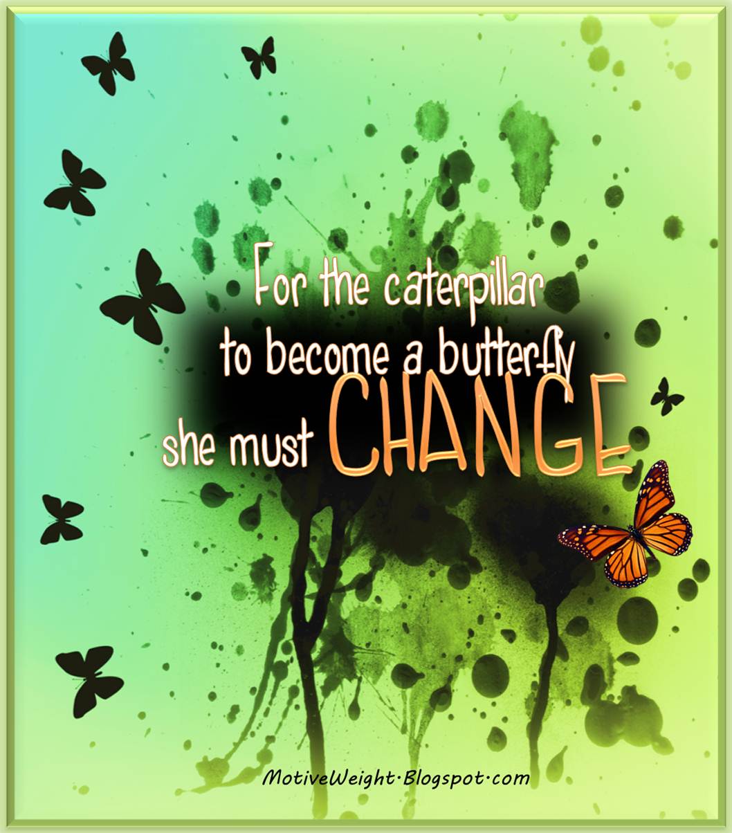 Caterpillar Into Butterfly Quotes QuotesGram