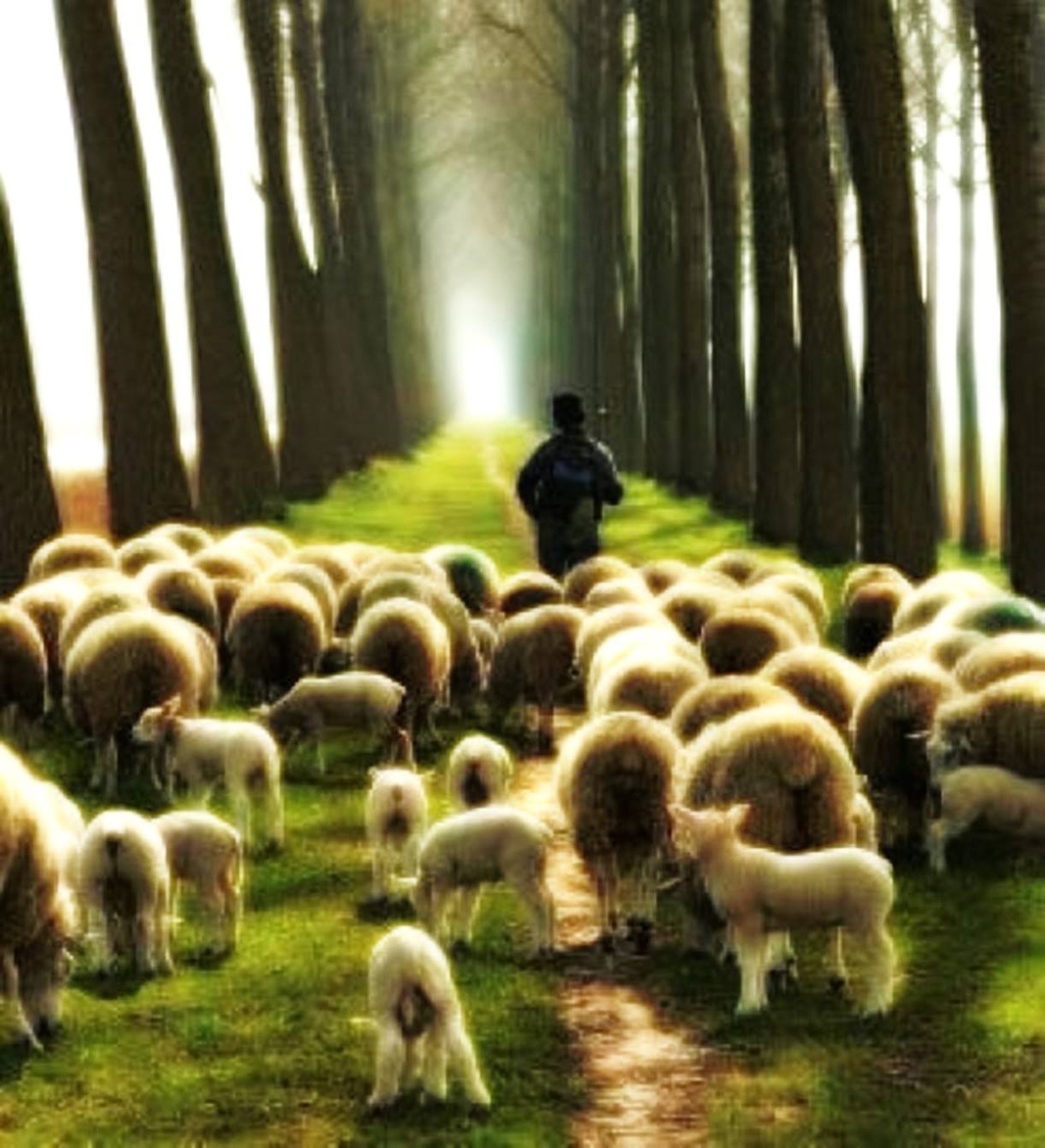 Envy And Strife Family Quotes. QuotesGram