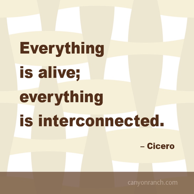 Interconnected Quotes. QuotesGram