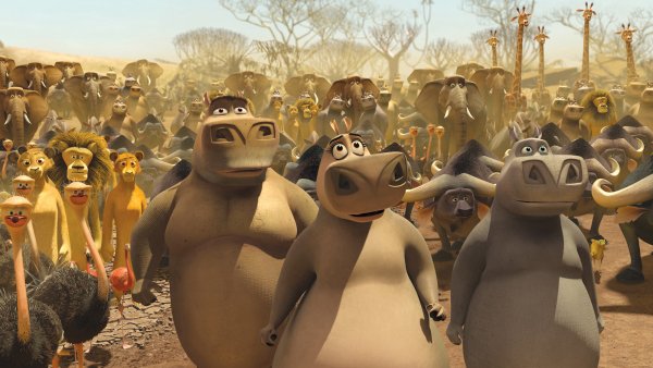 Madagascar 2 Moto Moto Quotes. QuotesGram Madagascar 2 Moto Moto Quotes. QuotesGram