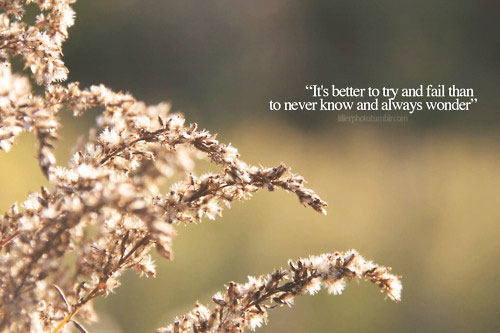 Never And Always Quotes. QuotesGram