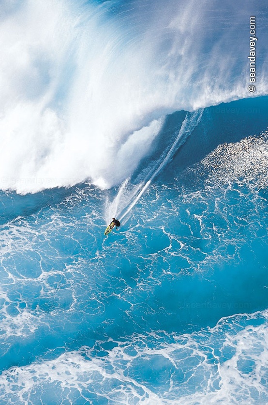 An Awesome Wave Quotes. QuotesGram