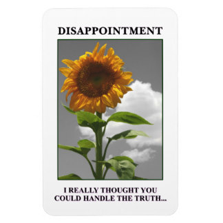 Sorry For Disappointing You Quotes. QuotesGram