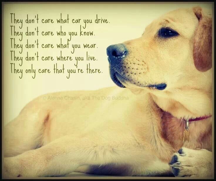 Famous Dog Quotes Love QuotesGram