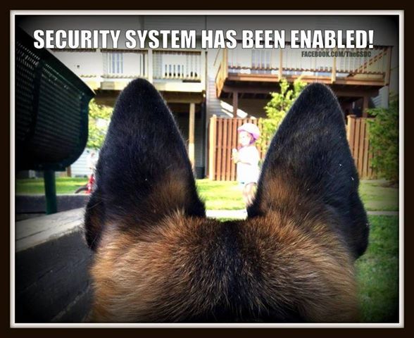 Home Protection Dog Quotes. QuotesGram