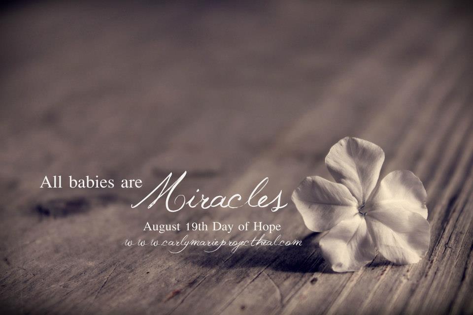 Quotes About Loss Of Hope QuotesGram quotes-about-loss-of-hope-quotesgram