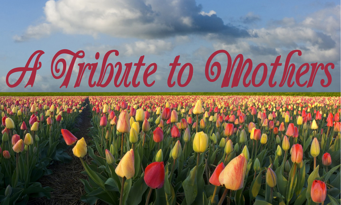 Tribute To Mother Birthday Quotes. QuotesGram Tribute To Mother Birthday Quotes. QuotesGram