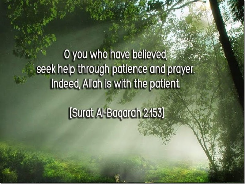 Seeking Help Quotes QuotesGram