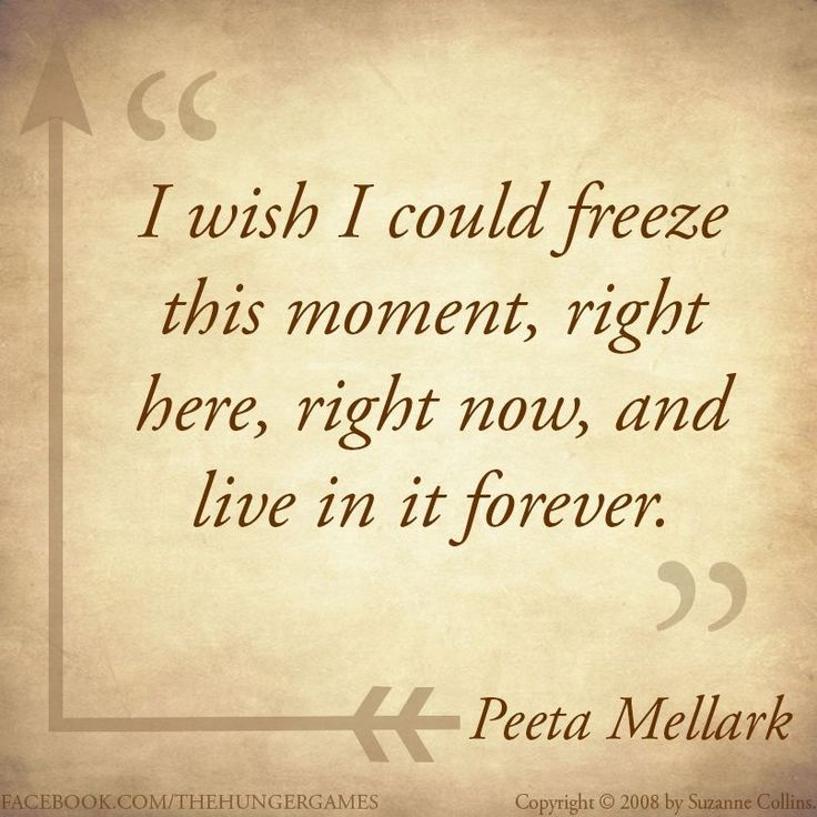 Hunger Games Quotes With Page Numbers QuotesGram