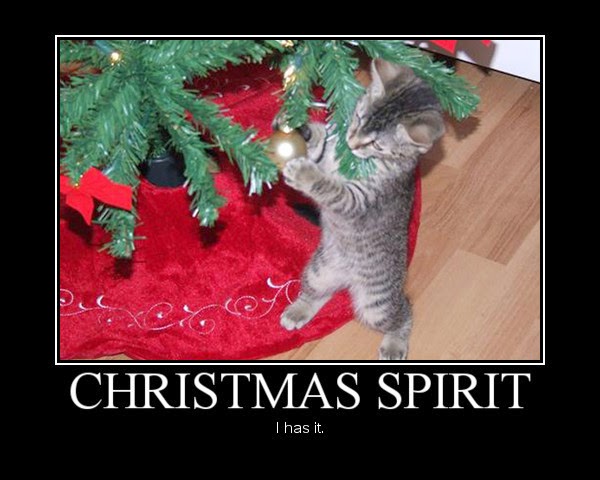 No Christmas Spirit Quotes. QuotesGram