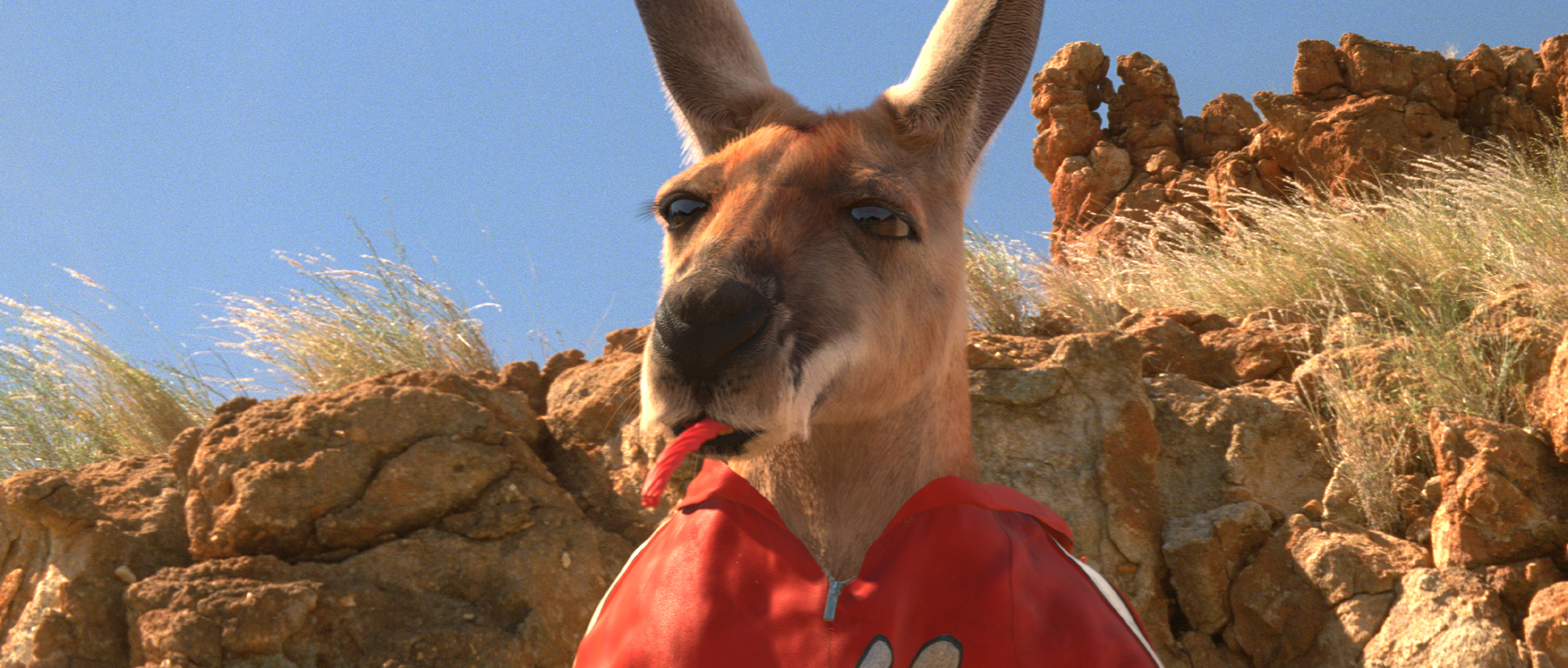 Kangaroo Jack Quotes QuotesGram