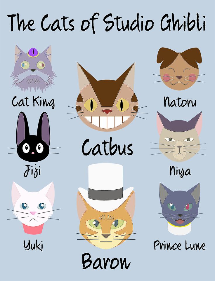 The Cat Returns Quotes QuotesGram