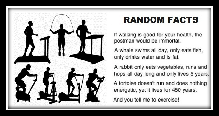 Hilarious Exercise Quotes QuotesGram