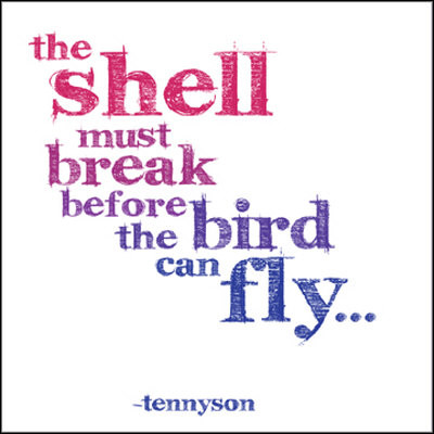 Inspirational Quotes About Shells. QuotesGram