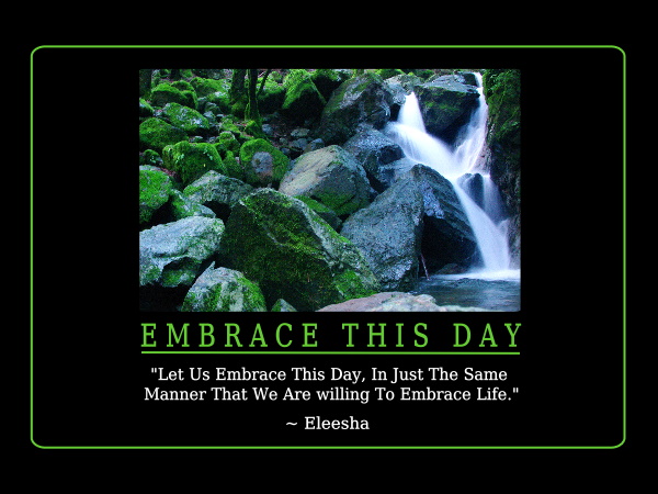 Embrace The Day Quotes. QuotesGram