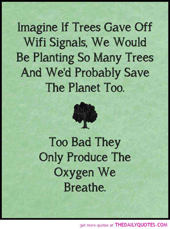 Famous Quotes About Saving Trees. QuotesGram