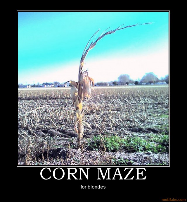 Funny Quotes About Corn. QuotesGram