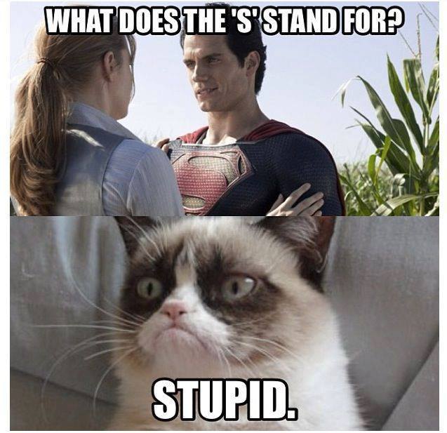 Funny Quotes From Grumpy Cat. QuotesGram