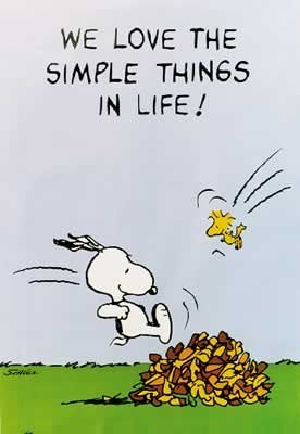 Quotes About Jumping Into Life. QuotesGram