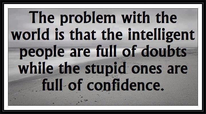Intelligent Quotes About Stupid People. QuotesGram