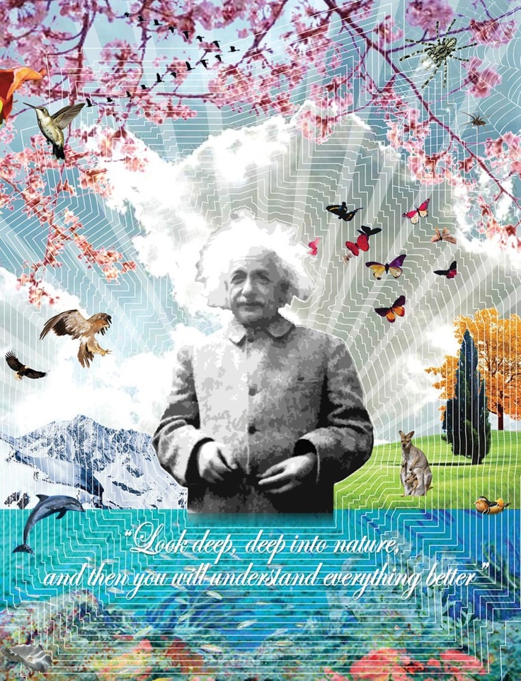 Einstein Quotes Poster. QuotesGram