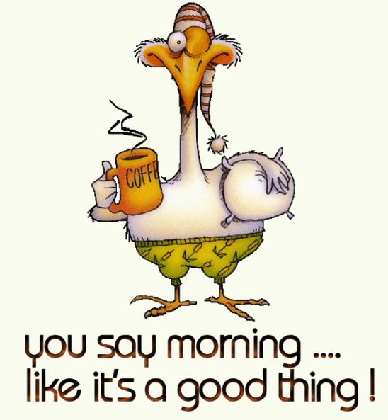 Crazy Good Morning Quotes Quotesgram