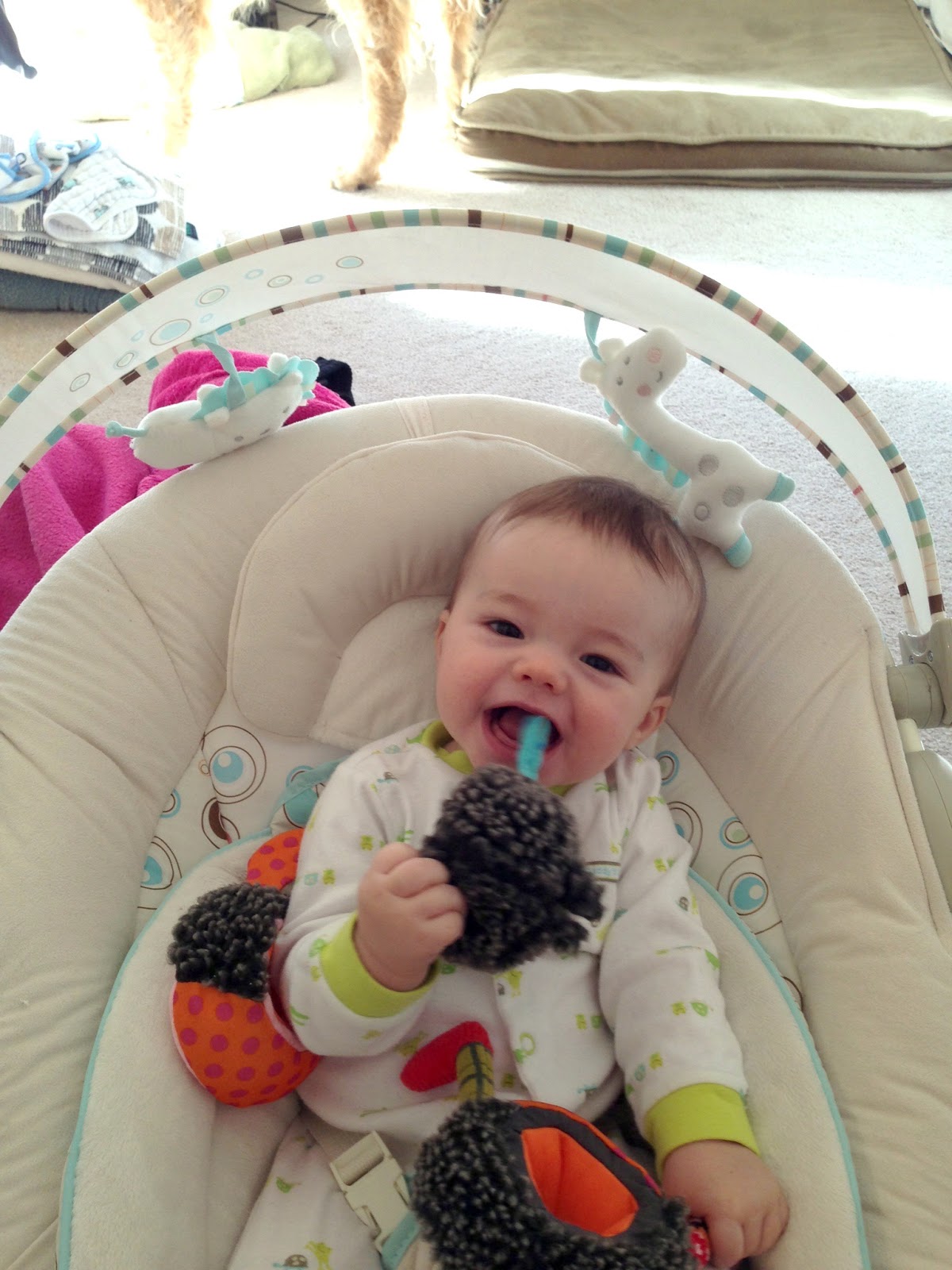 Happy 8 Months Baby Quotes QuotesGram