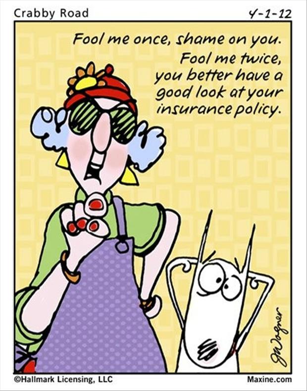 Sayings Funny Quotes Maxine Quotesgram
