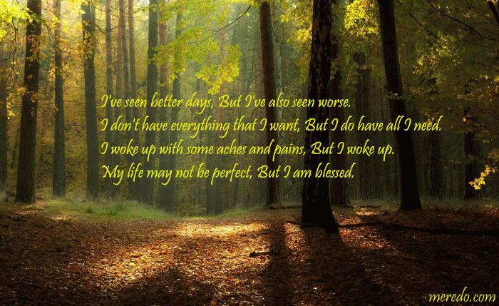 Ive Seen Better Days Quotes Quotesgram