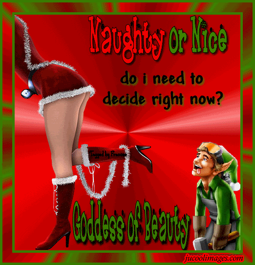 Dirty Christmas Quotes QuotesGram