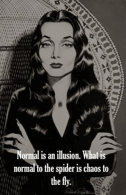 Normal Is An Illusion Morticia Addams Quotes. QuotesGram