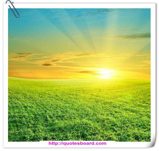 Real Loves Comes Naturally Quotes. QuotesGram