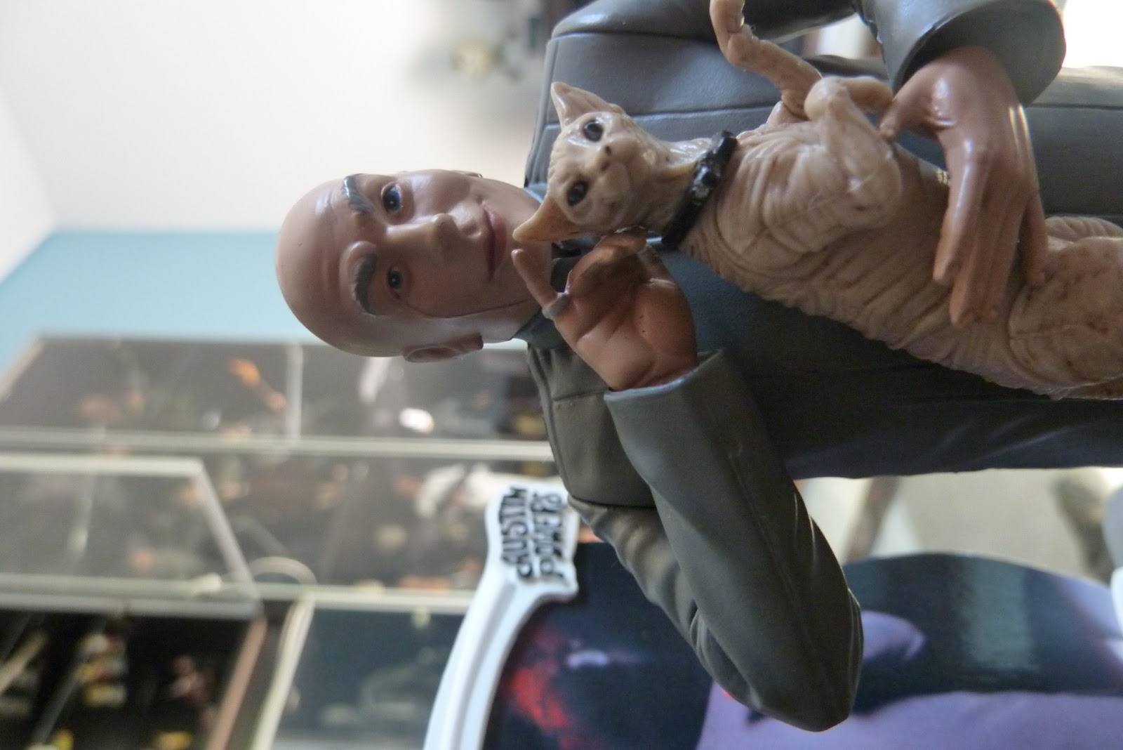 Dr Evil Cat Quotes QuotesGram Dr Evil Cat Quotes QuotesGram