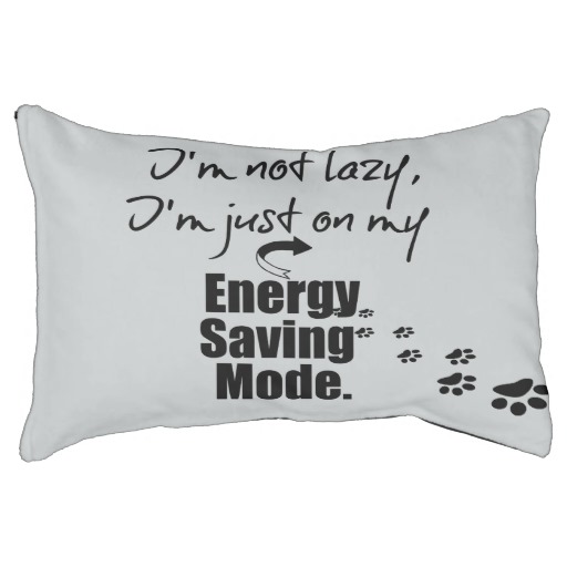 Dog Bed Funny Quotes QuotesGram