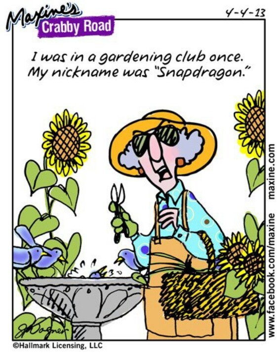 funny-landscaping-quotes-quotesgram