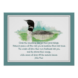 Quotes About Loons. QuotesGram