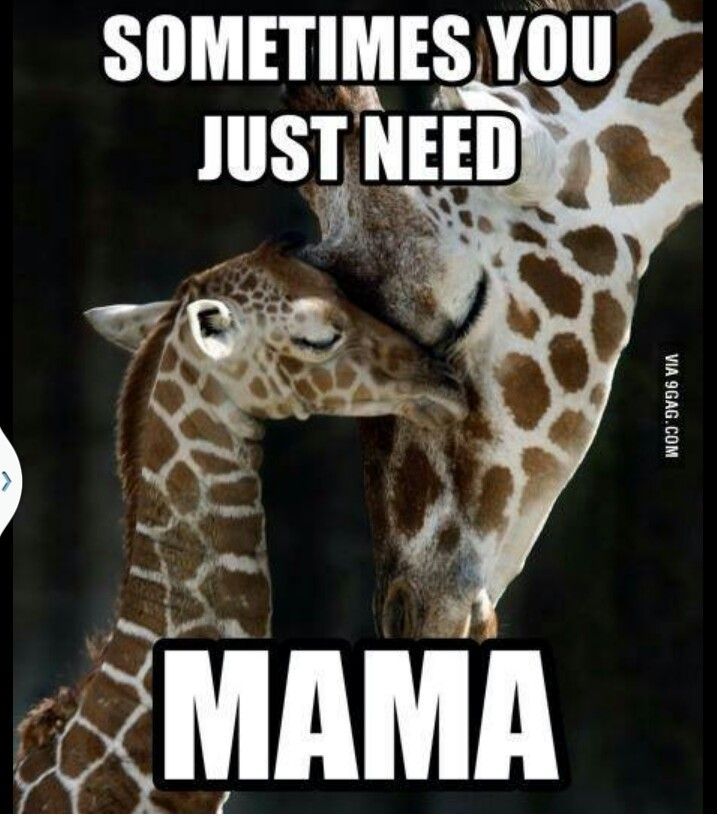 U R My Life Quotes. QuotesGram