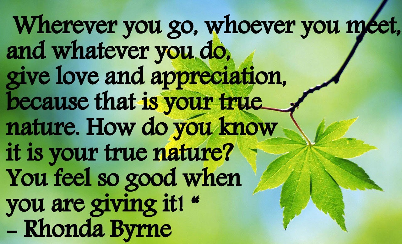 Appreciation Quotes QuotesGram