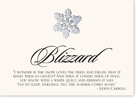 Blizzard Quotes. QuotesGram