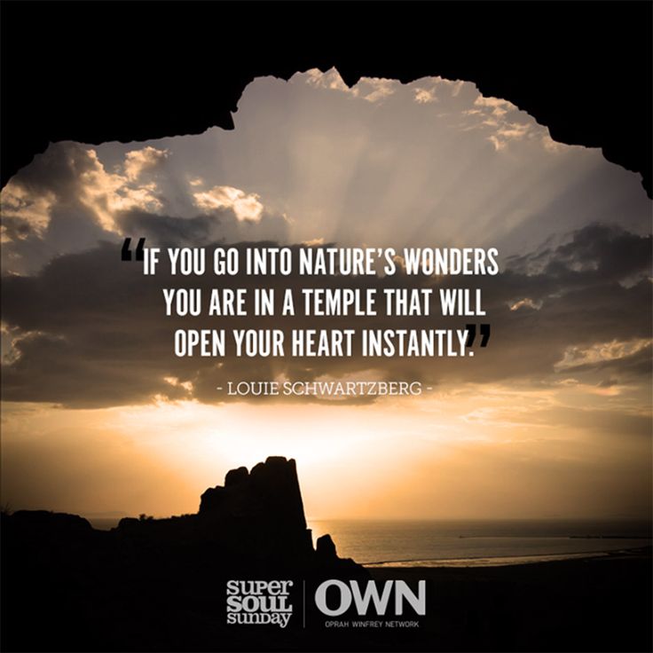 Quotes About Vulnerability QuotesGram Quotes About Vulnerability QuotesGram