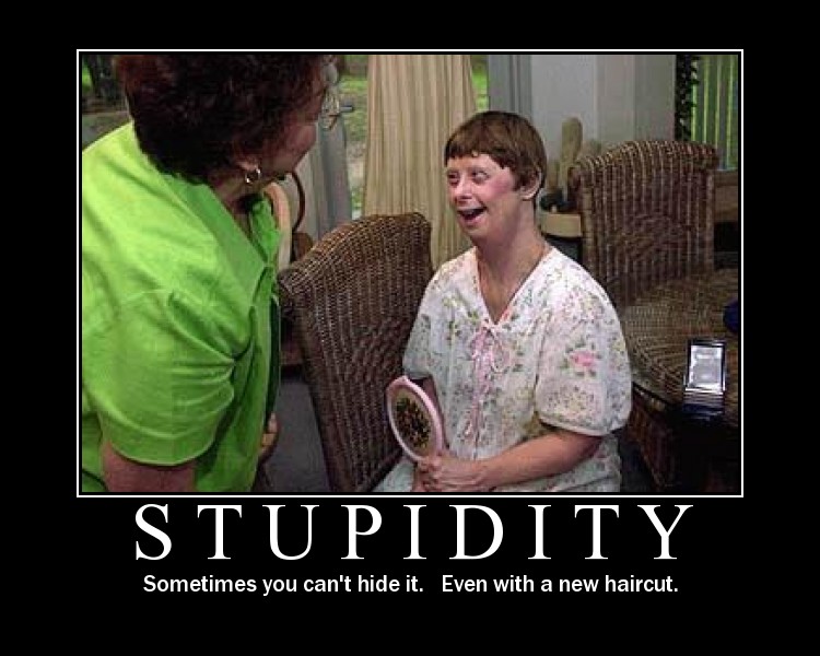 Stupid Meaningless Quotes QuotesGram