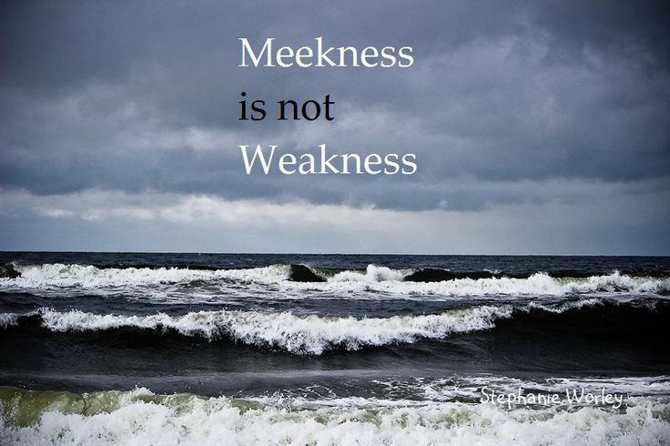 Meekness Quotes. QuotesGram