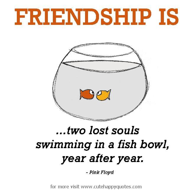 Fish And Friendship Quotes. QuotesGram