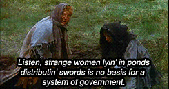 Monty Python Quotes Government. QuotesGram