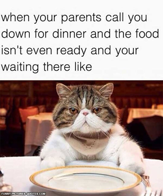Funny Dinner Quotes QuotesGram Funny Dinner Quotes QuotesGram