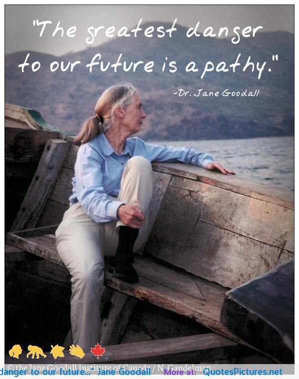 Inspirational Quotes From Jane Goodall. QuotesGram Inspirational Quotes From Jane Goodall. QuotesGram