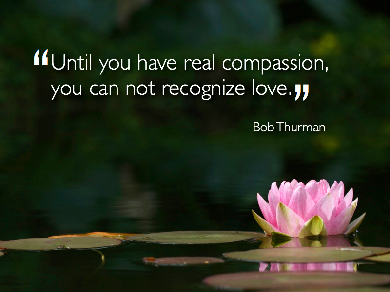 Jesus Compassion Quotes. QuotesGram Jesus Compassion Quotes. QuotesGram